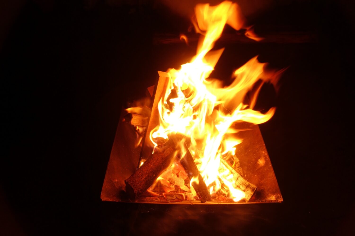 20210522 tama海テラス_210524_19 | 81smile